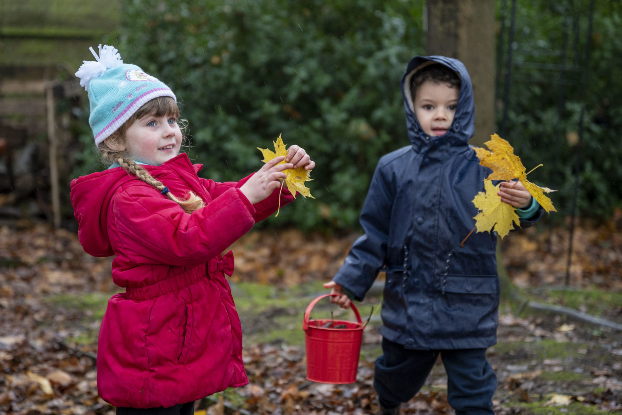 Grant transforms forgotten space into outdoor science area at Ark ...